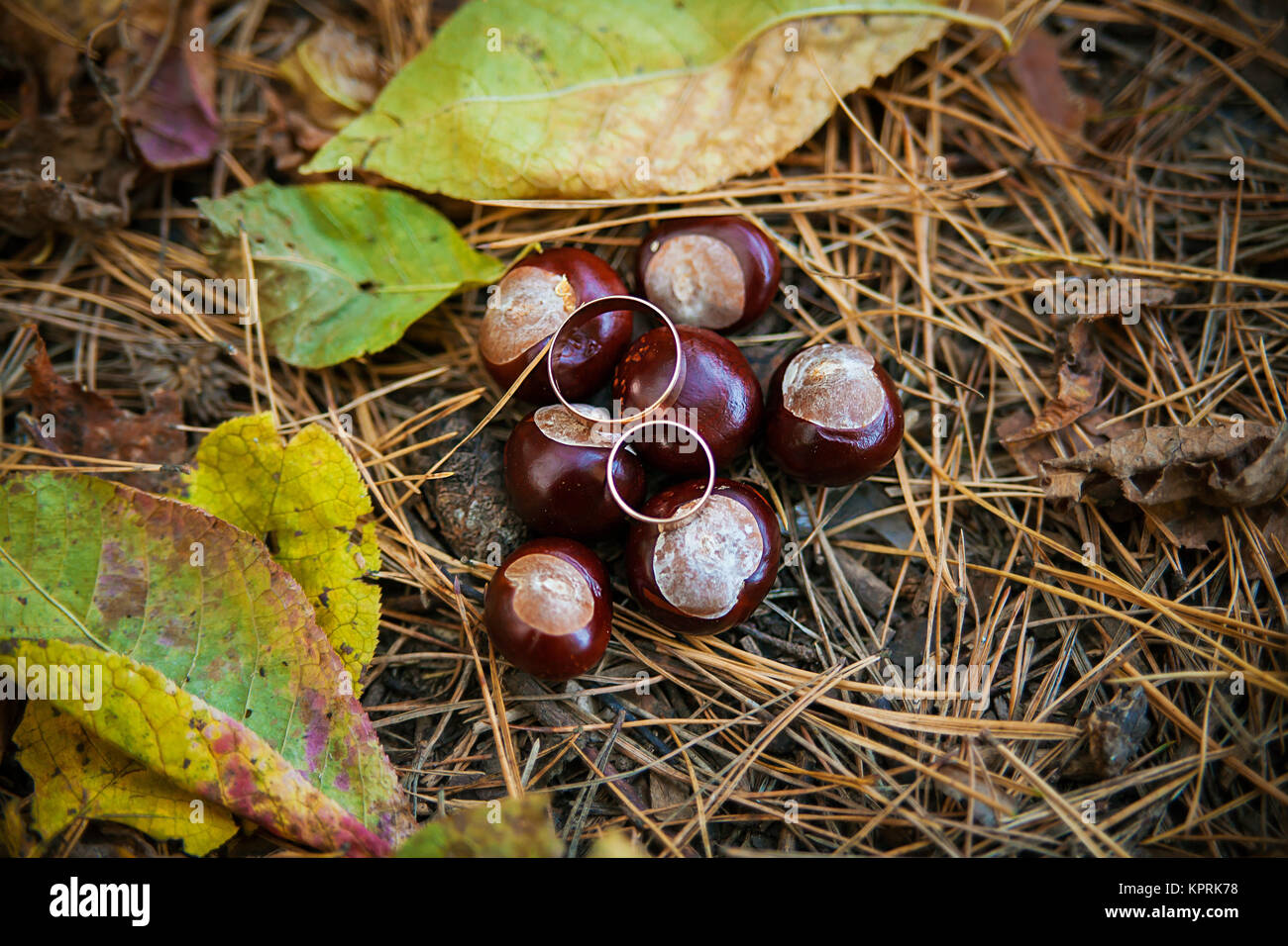 Engagement Theme - Gold Ring on chestnuts Stock Photo - Alamy