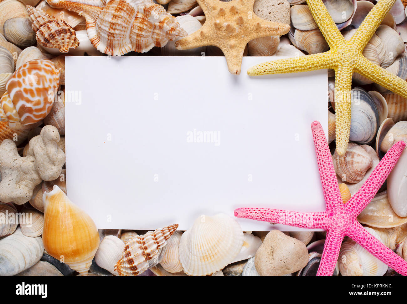 blank sheet of paper on sea Shell background Stock Photo - Alamy