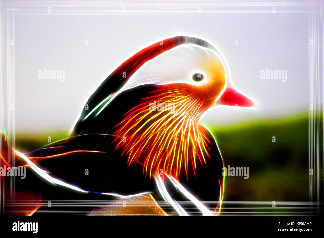 Duck shapes hi-res stock photography and images - Alamy