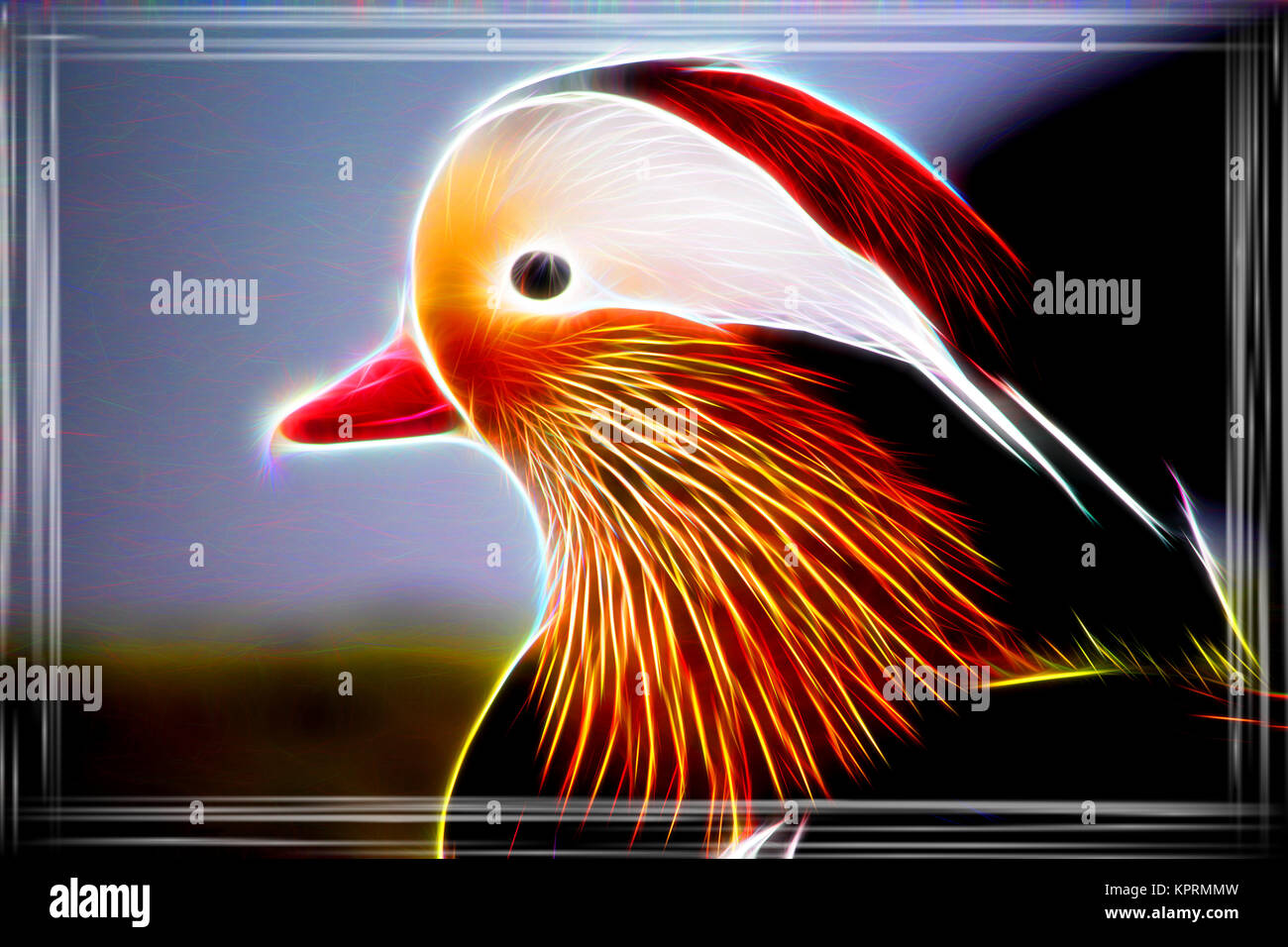 Duck shapes hi-res stock photography and images - Alamy