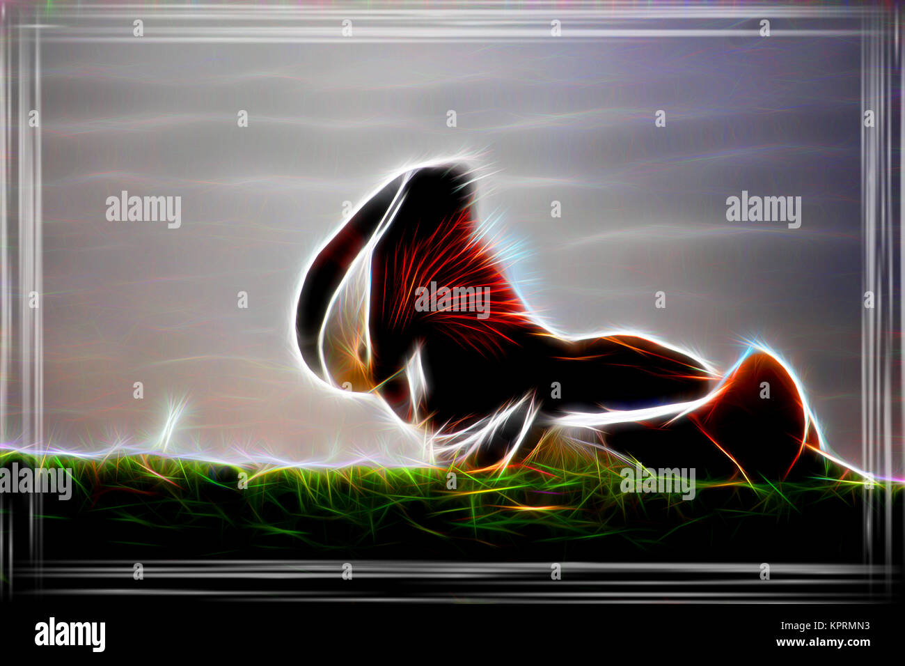 Duck shapes hi-res stock photography and images - Alamy