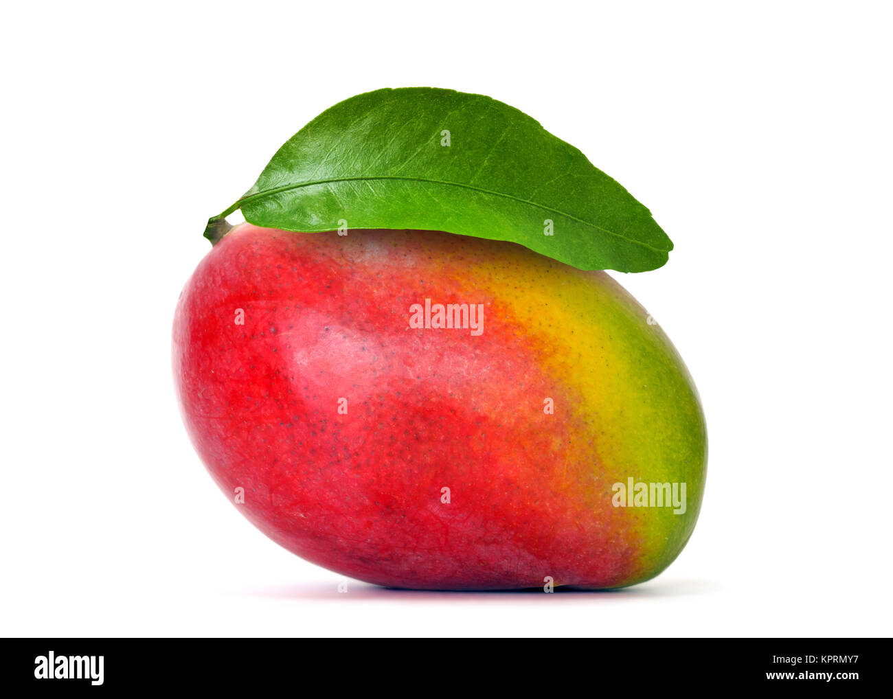 Mango isolated on white Stock Photo - Alamy