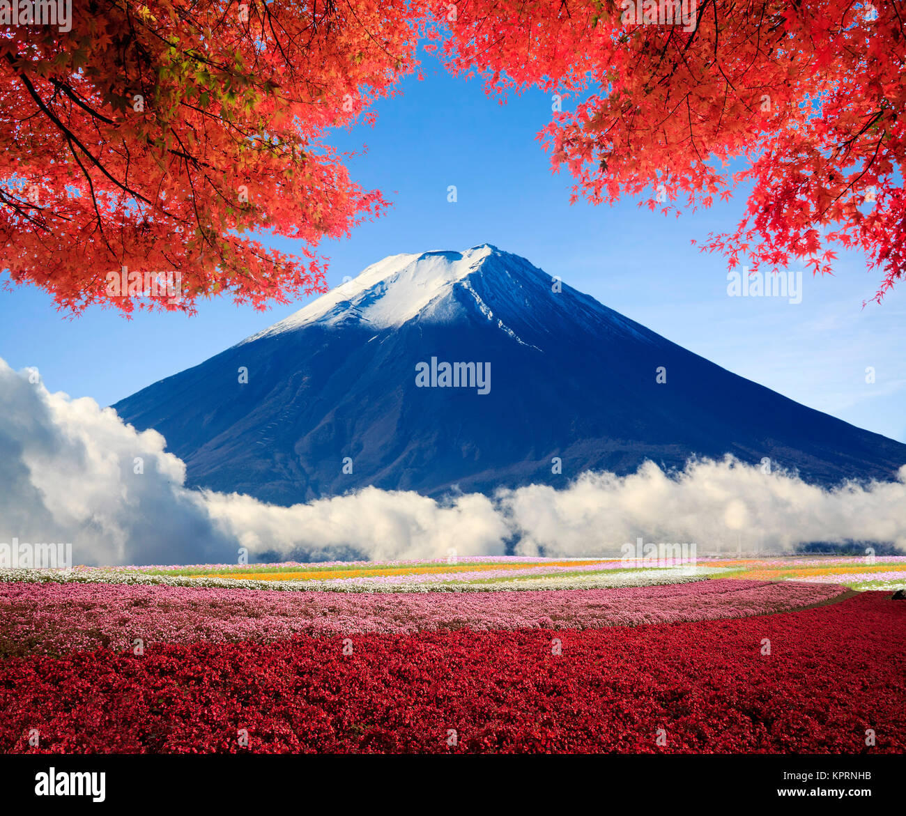 imaging of beautiful landscape with nice nature color Stock Photo - Alamy