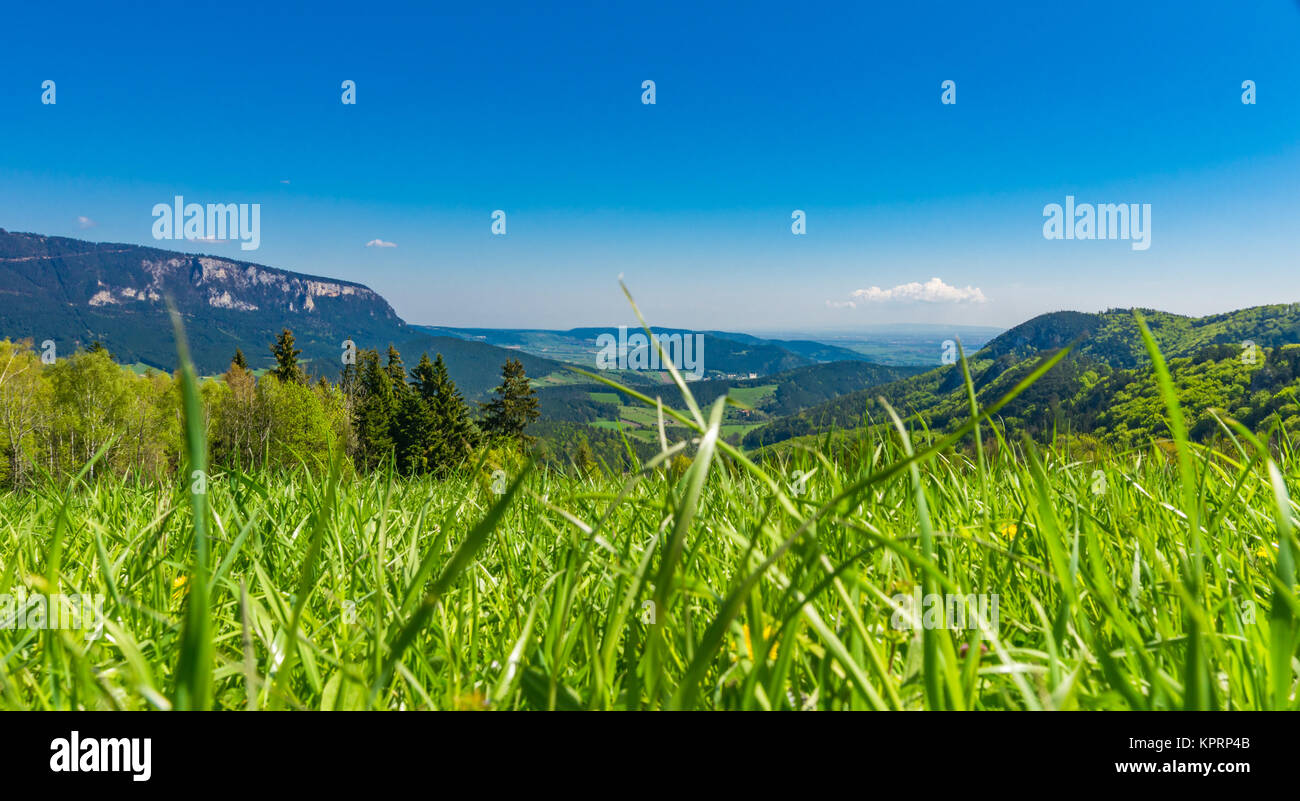 panoramic view in summer Stock Photo - Alamy