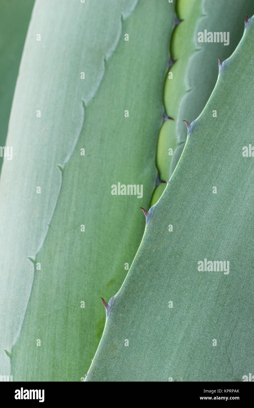 Free patterns hi-res stock photography and images - Alamy