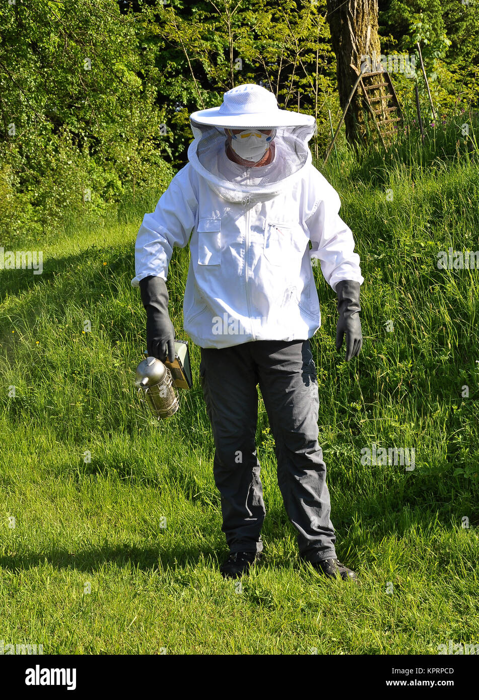 Imker mit Smoker Stock Photo - Alamy