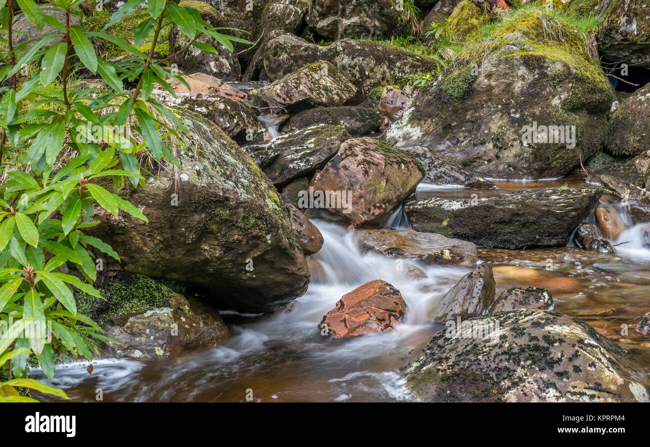 Scottish Highland Stream Stock Photo - Alamy
