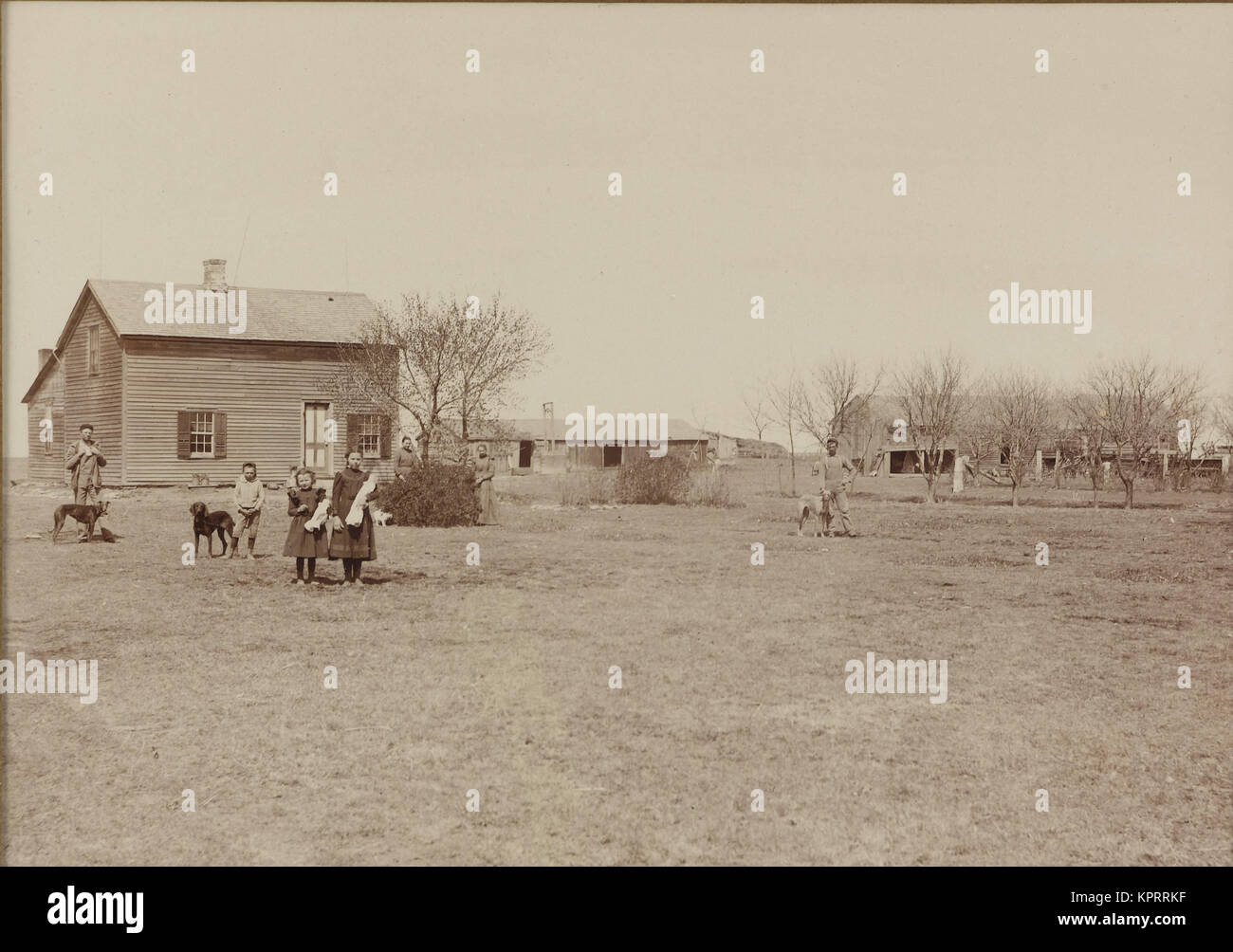 Typical Nebraska Farm 1890 Stock Photo - Alamy