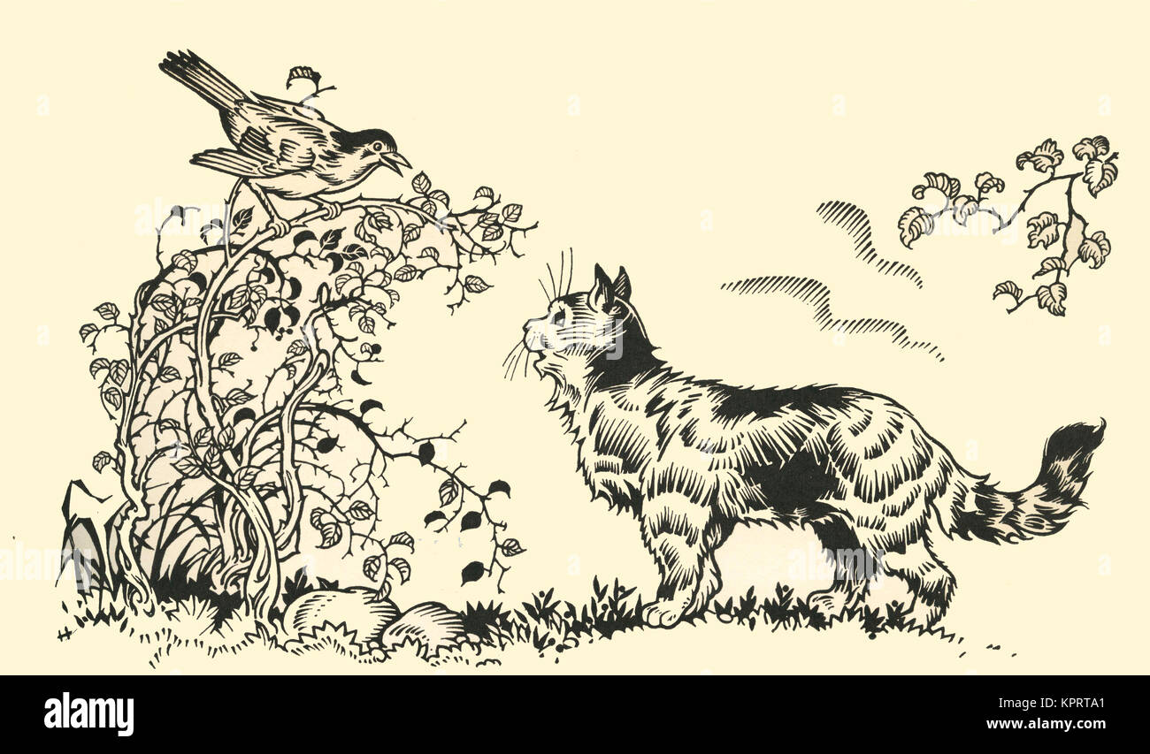 Cat and Robin Stock Photo - Alamy