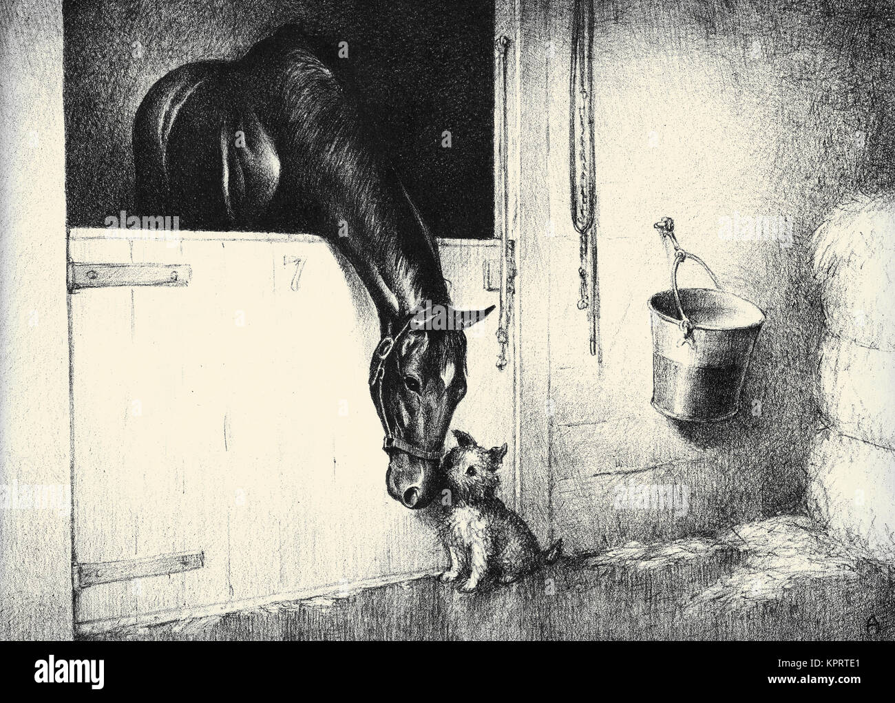 Dog mascots hi-res stock photography and images - Alamy