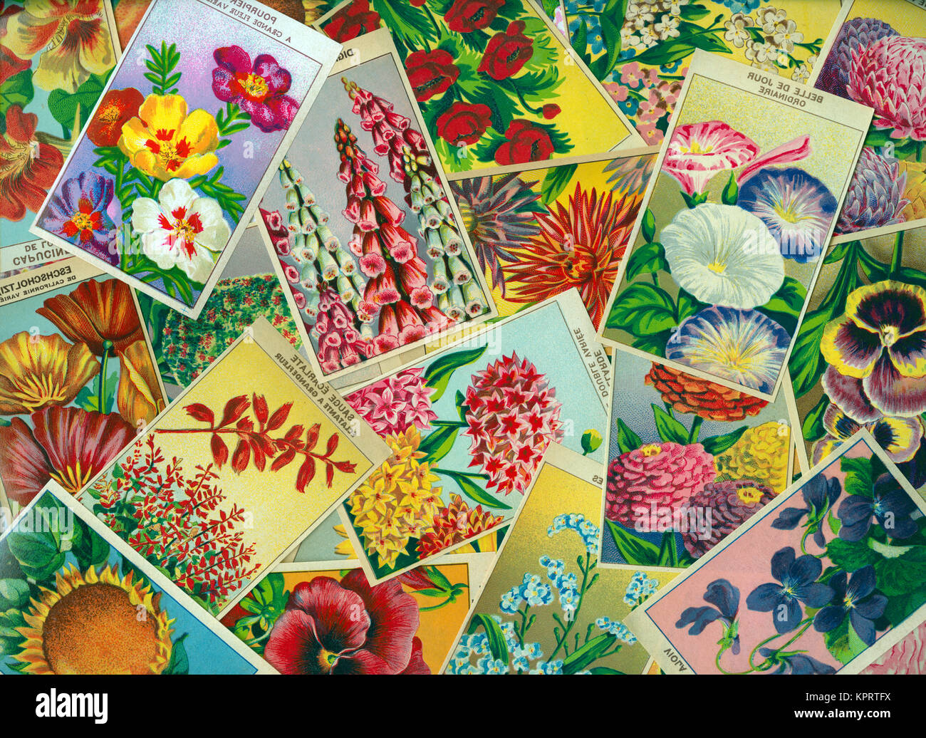 Plant collage hi-res stock photography and images - Alamy
