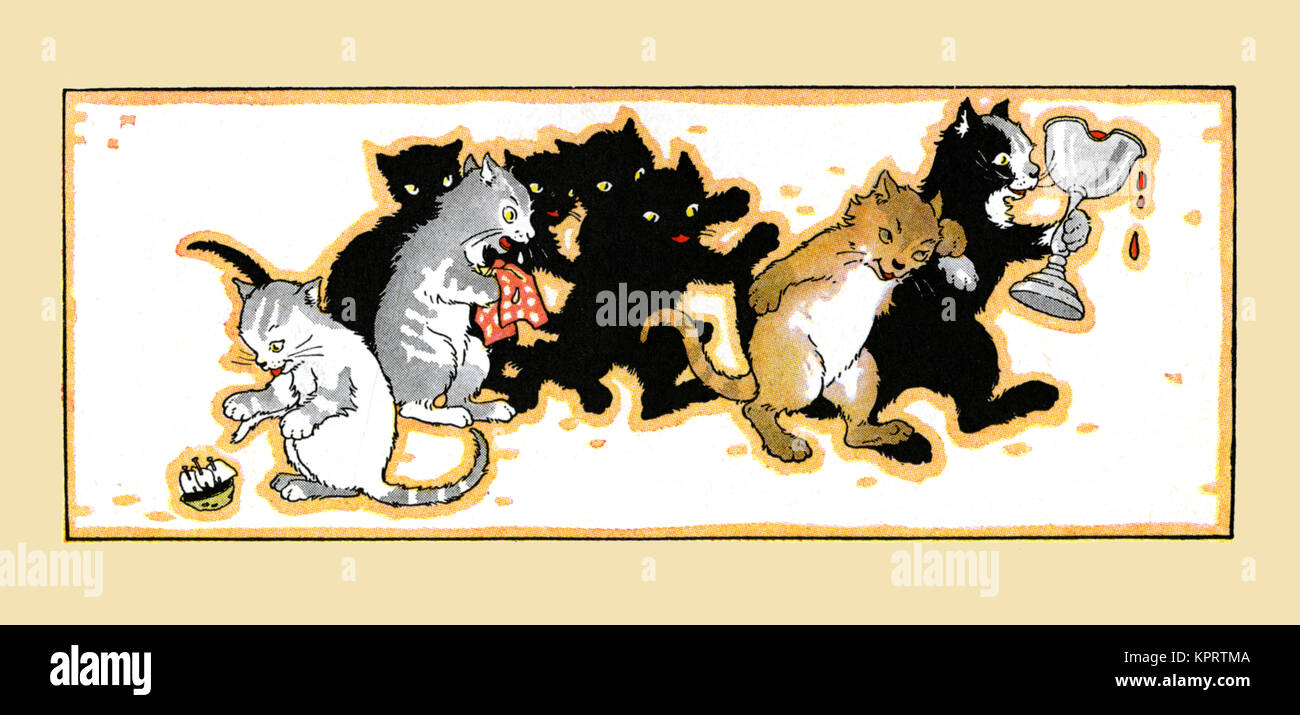 Cats Following the Leader Stock Photo - Alamy