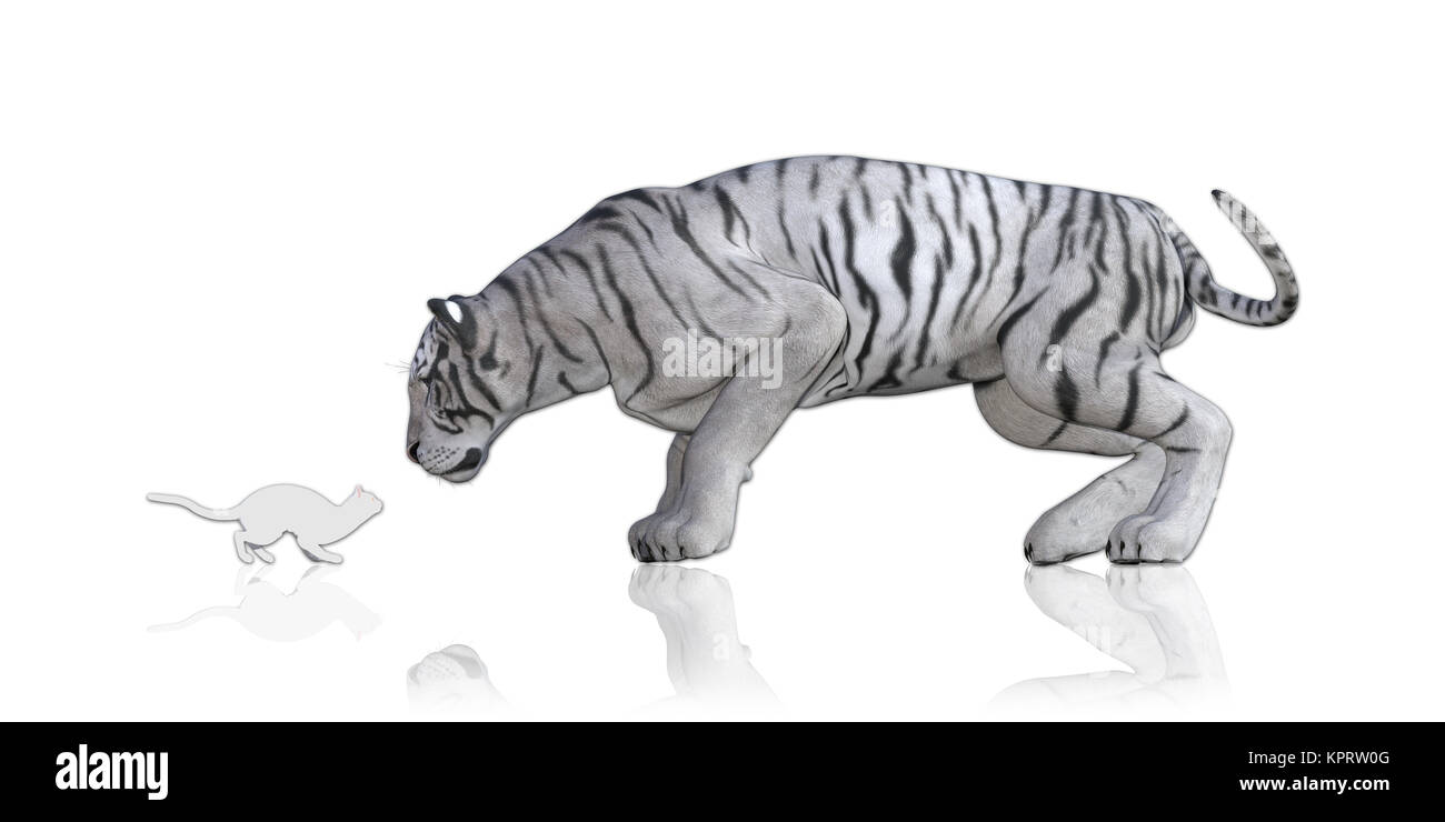 Cat Tiger Reflection Stock Photo - Alamy