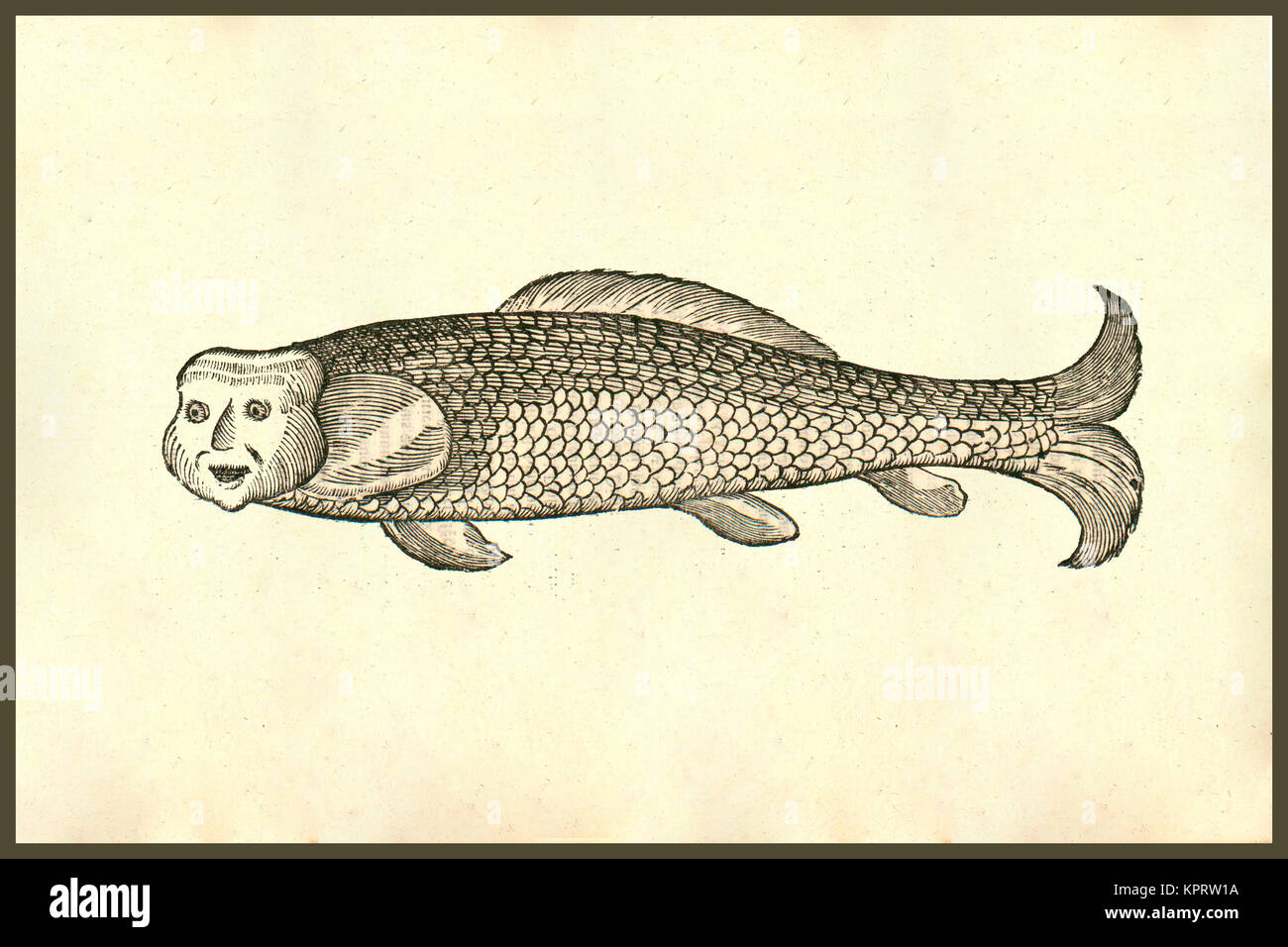 Deformity fish hi-res stock photography and images - Alamy