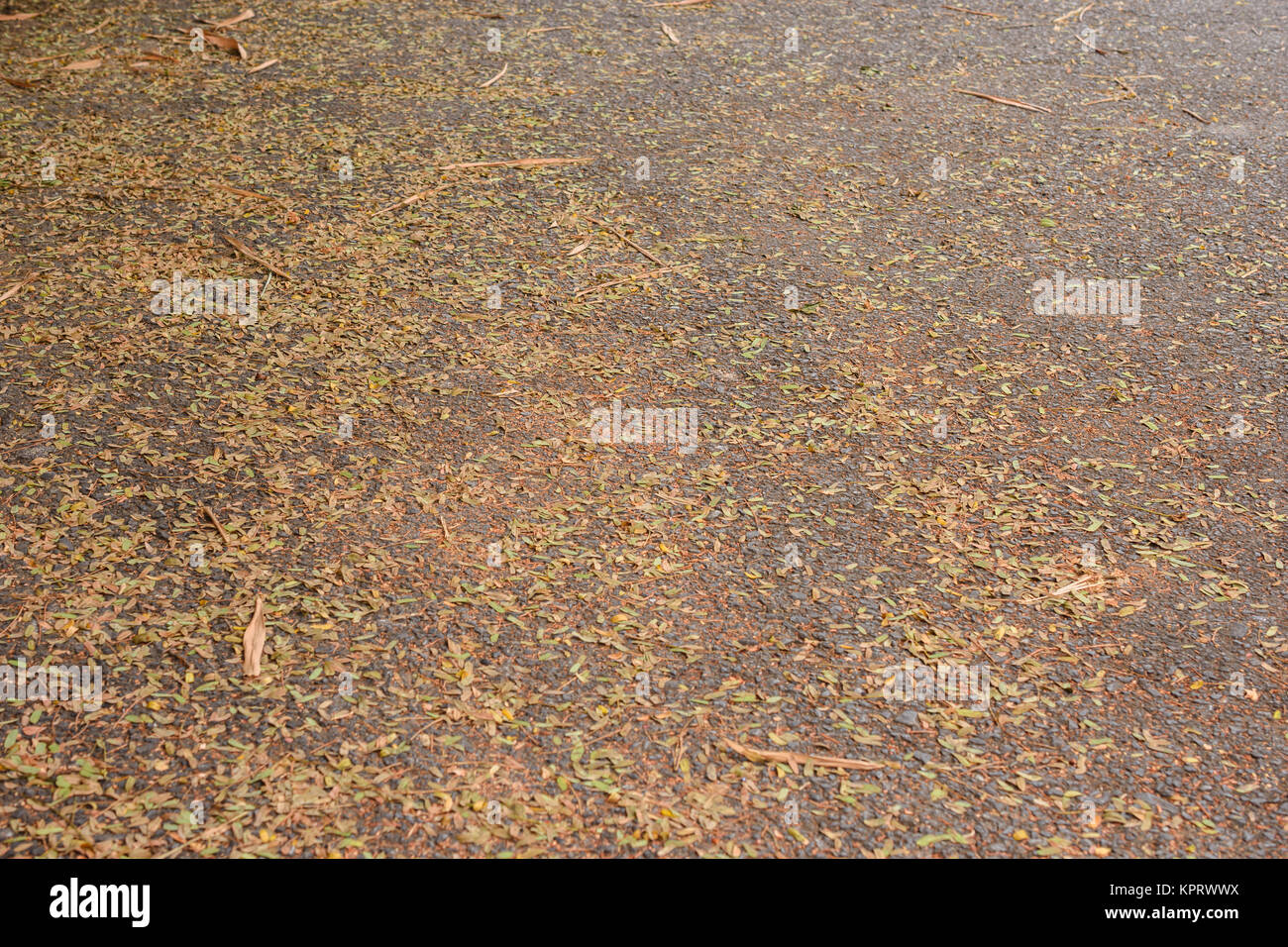 Brown ground color hi-res stock photography and images - Alamy