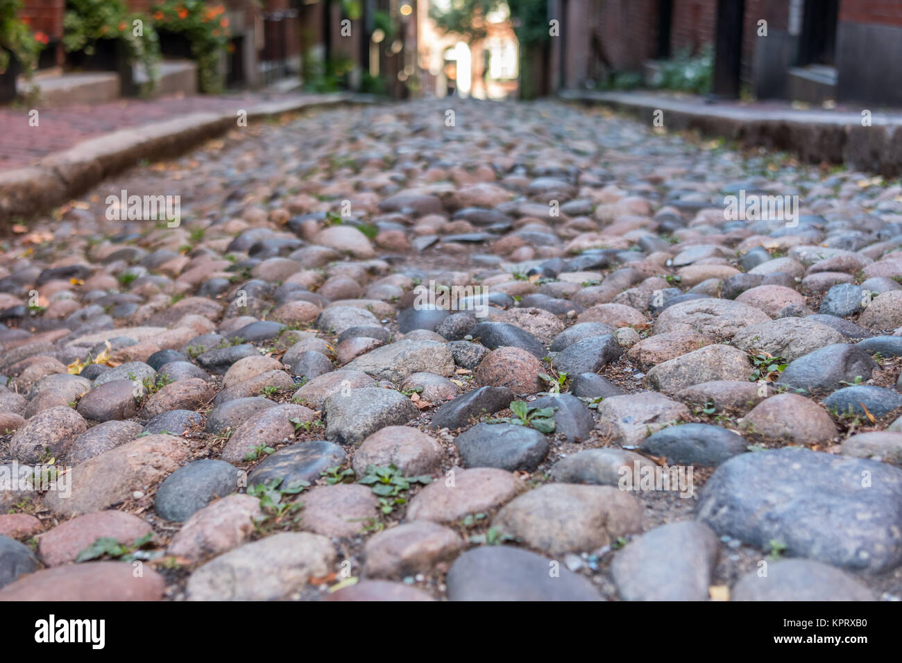 Wide Shot of Cobble Stone Street in historic district Stock Photo - Alamy