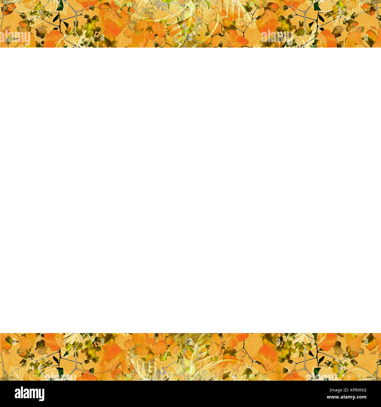 White Background Frame with Decorated Borders Stock Photo - Alamy