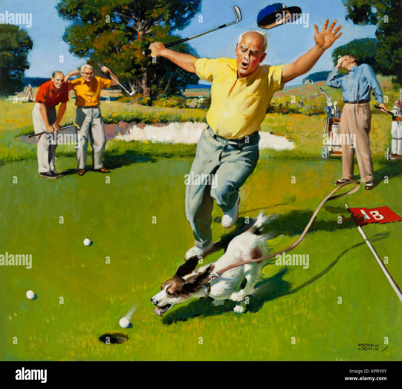 Dog Chasing Golf Ball Stock Photo - Alamy