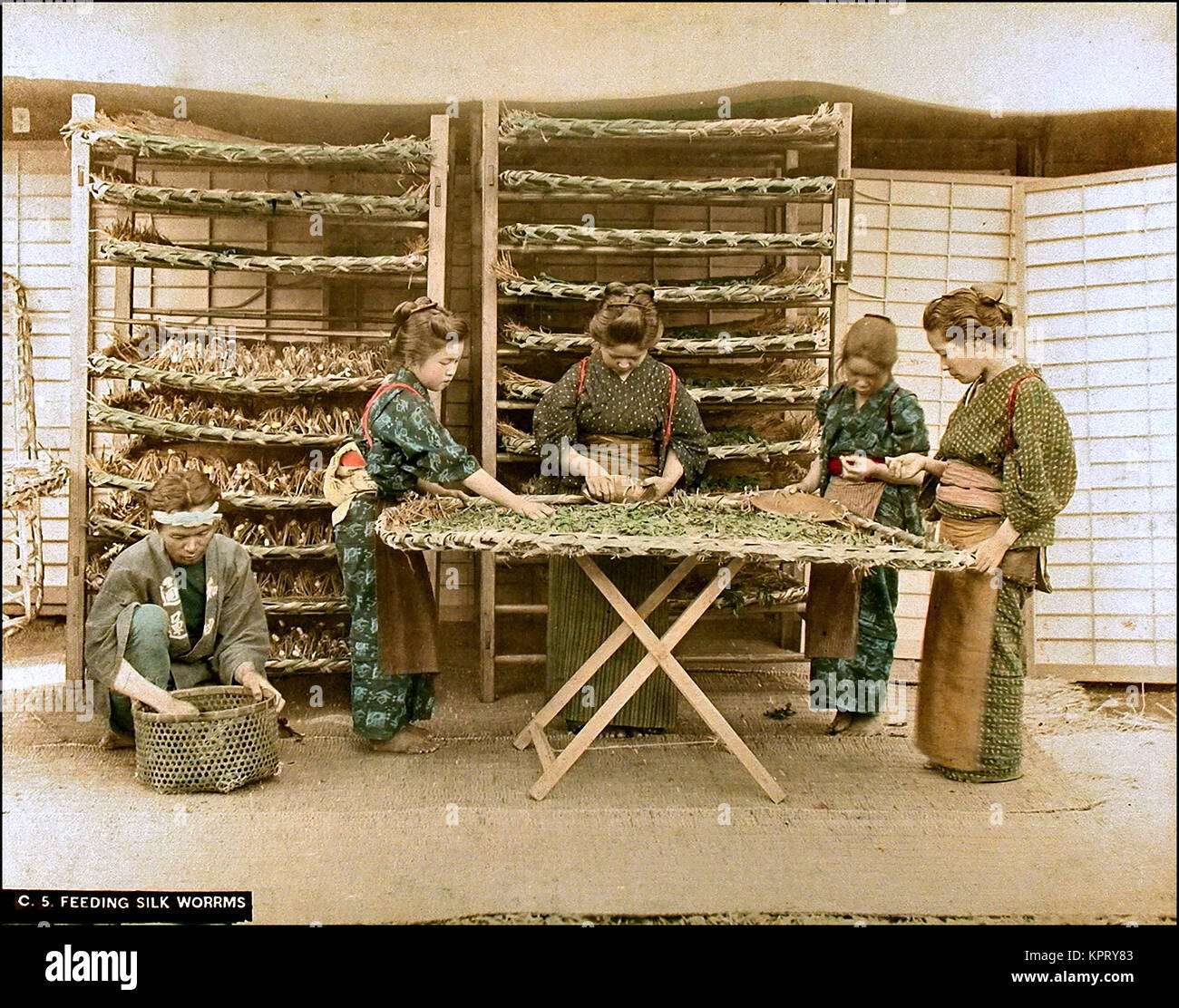 Silk worm farming hi-res stock photography and images - Alamy