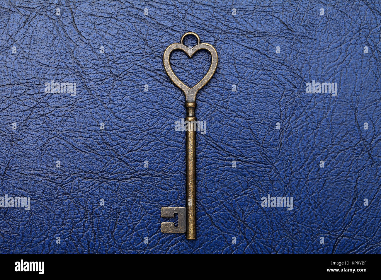 Bronze age skeleton hi-res stock photography and images - Alamy