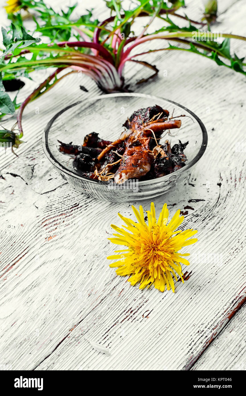 roots of dandelion flower Stock Photo - Alamy