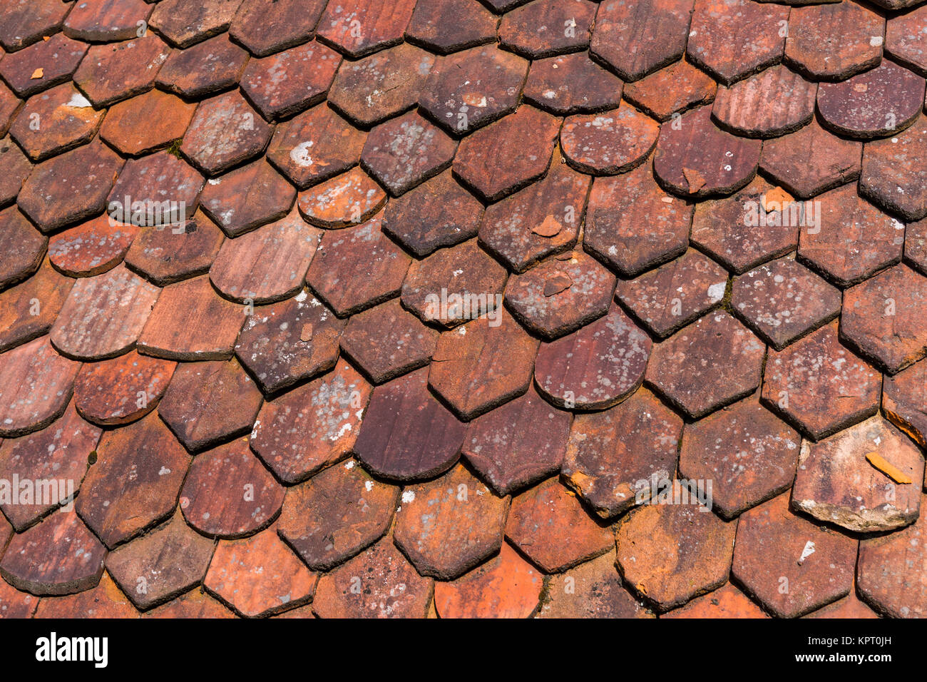 Close up shingles hi-res stock photography and images - Alamy