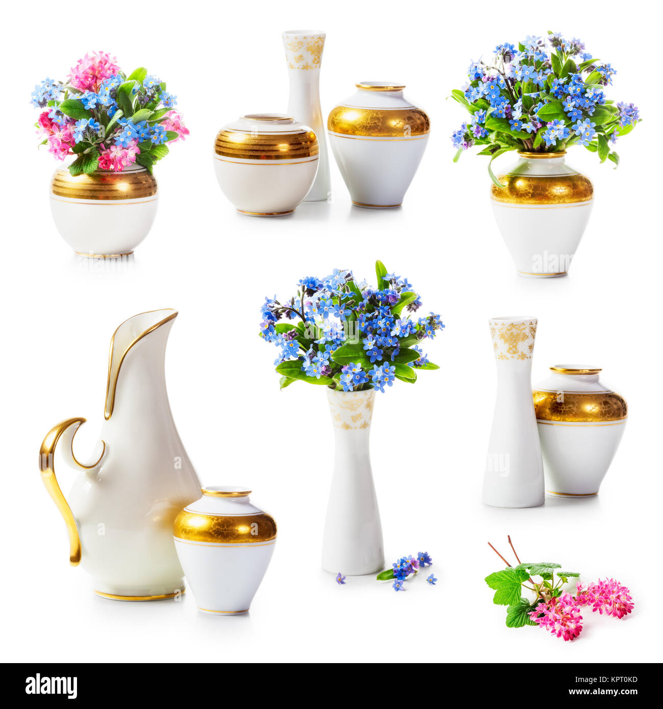 Old white vases and bouquets of forget me not flowers collection ...