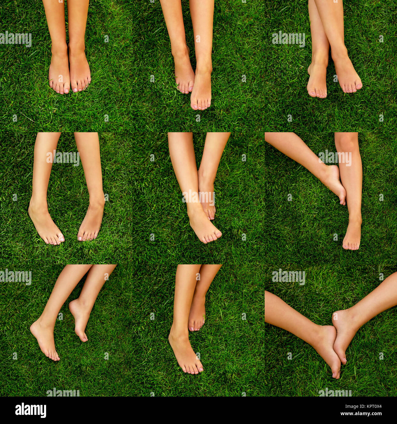 Multiple legs hi-res stock photography and images - Alamy