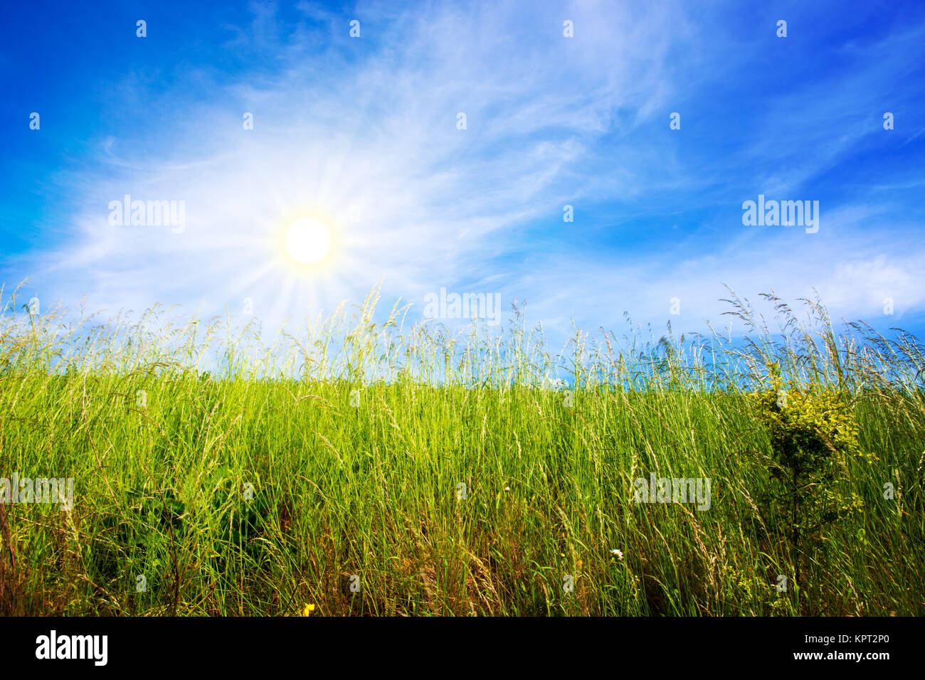 Summer cloudy landscape with field . Colorful landscape with meadof and ...