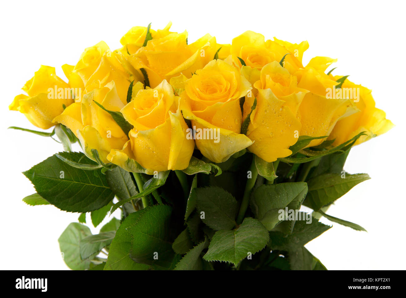 Yellow rose bouquet isolated on white background Stock Photo - Alamy