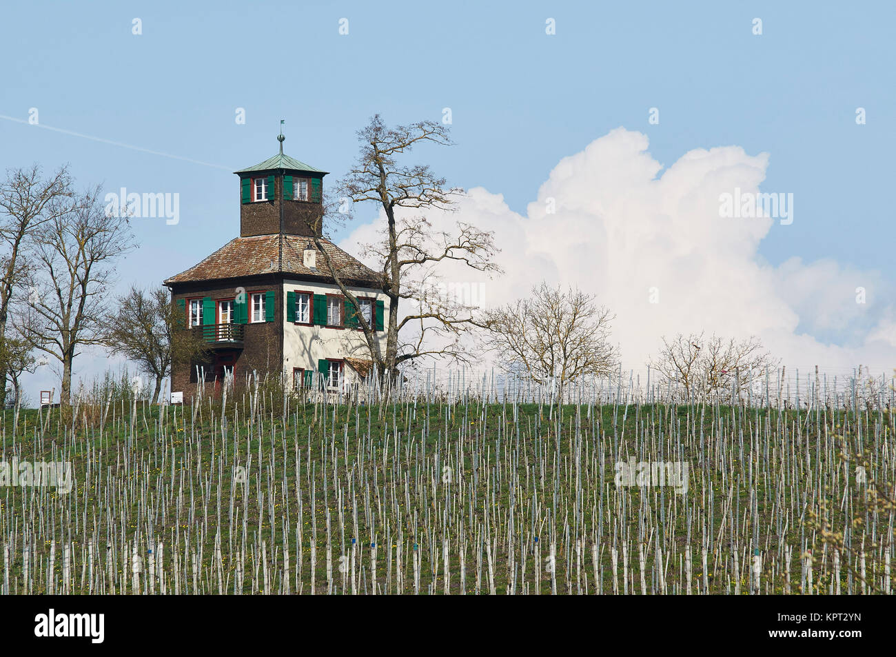 Vineyard watchtower hi-res stock photography and images - Alamy