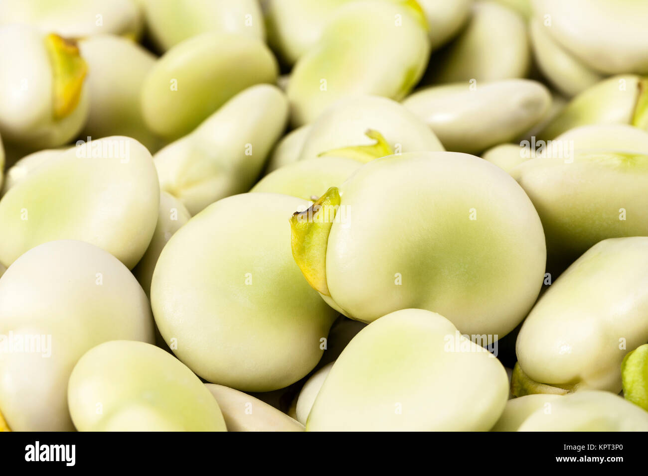 background of fresh green broad bean, close up Stock Photo - Alamy