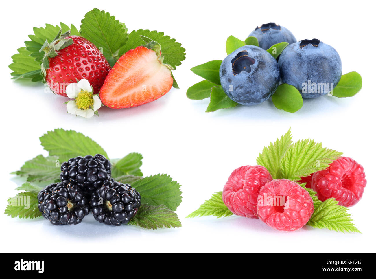 Gesunde blaubeeren hi-res stock photography and images - Alamy