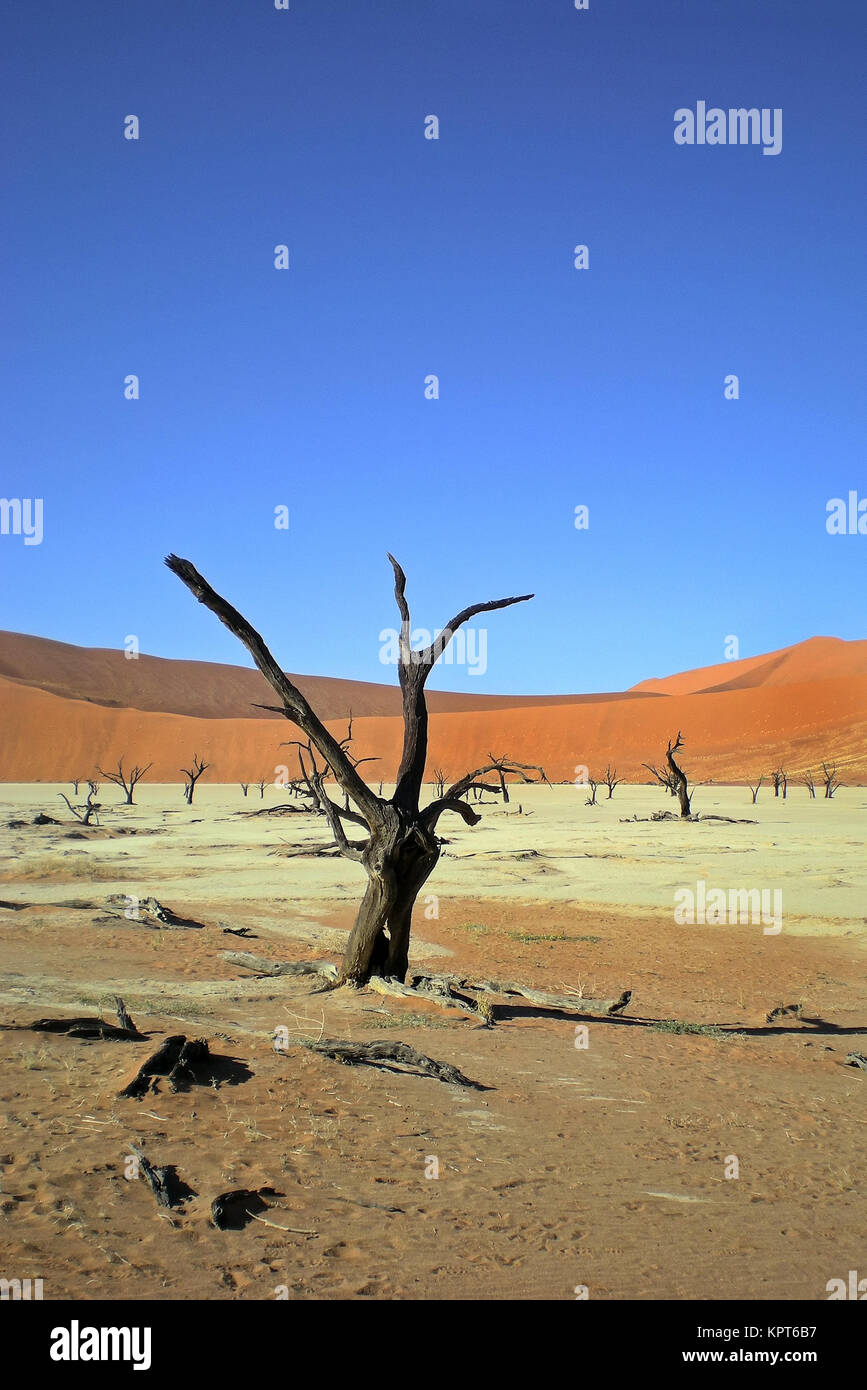 Dead Vlei,Namib Desert,Namibia Stock Photo - Alamy