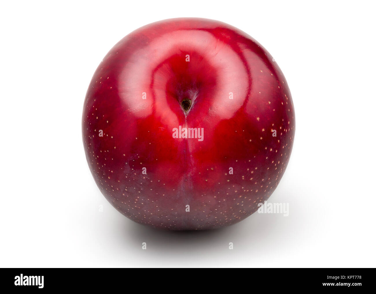 Perfect Fresh Red Plum Isolated on White Background in Full Depth of ...