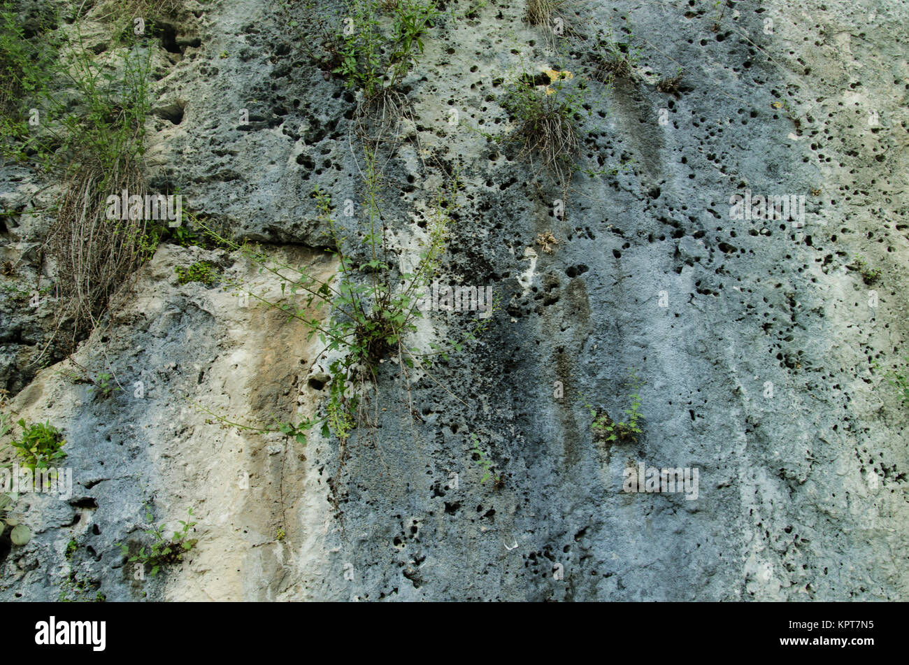 natural texture of stone on a rocky surface Stock Photo - Alamy