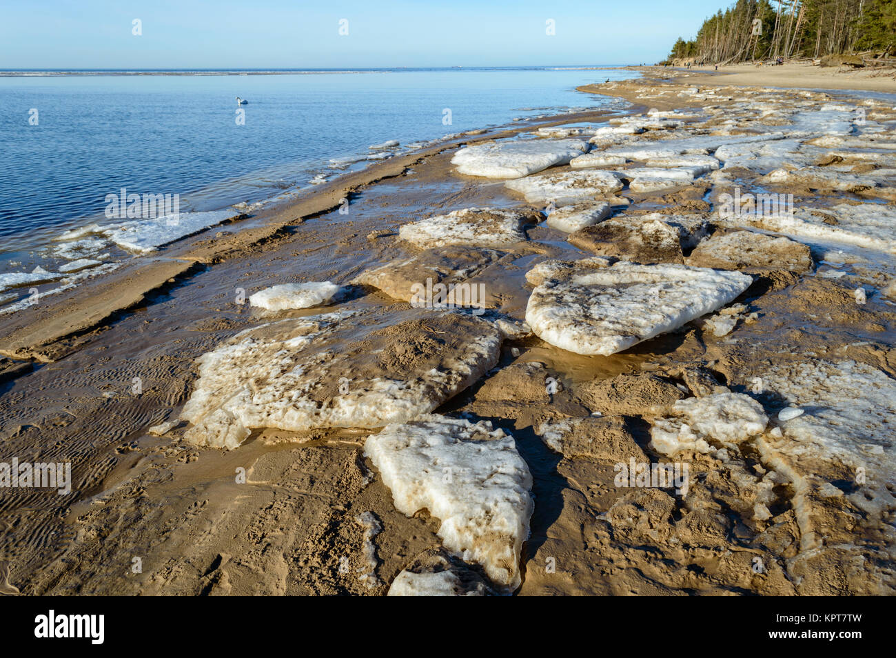 frozen beach in cold winters day with colorful sky and ice Stock Photo ...