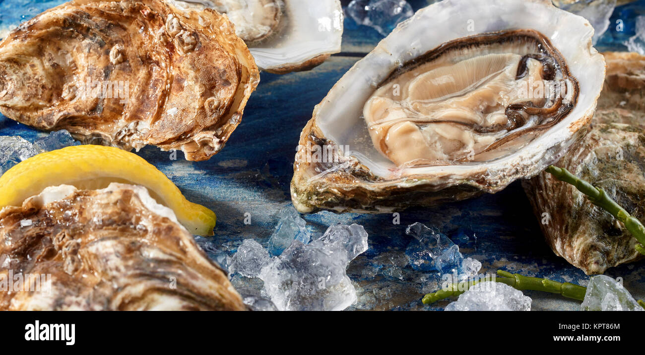 Oysters in shells ice bed hi-res stock photography and images - Alamy