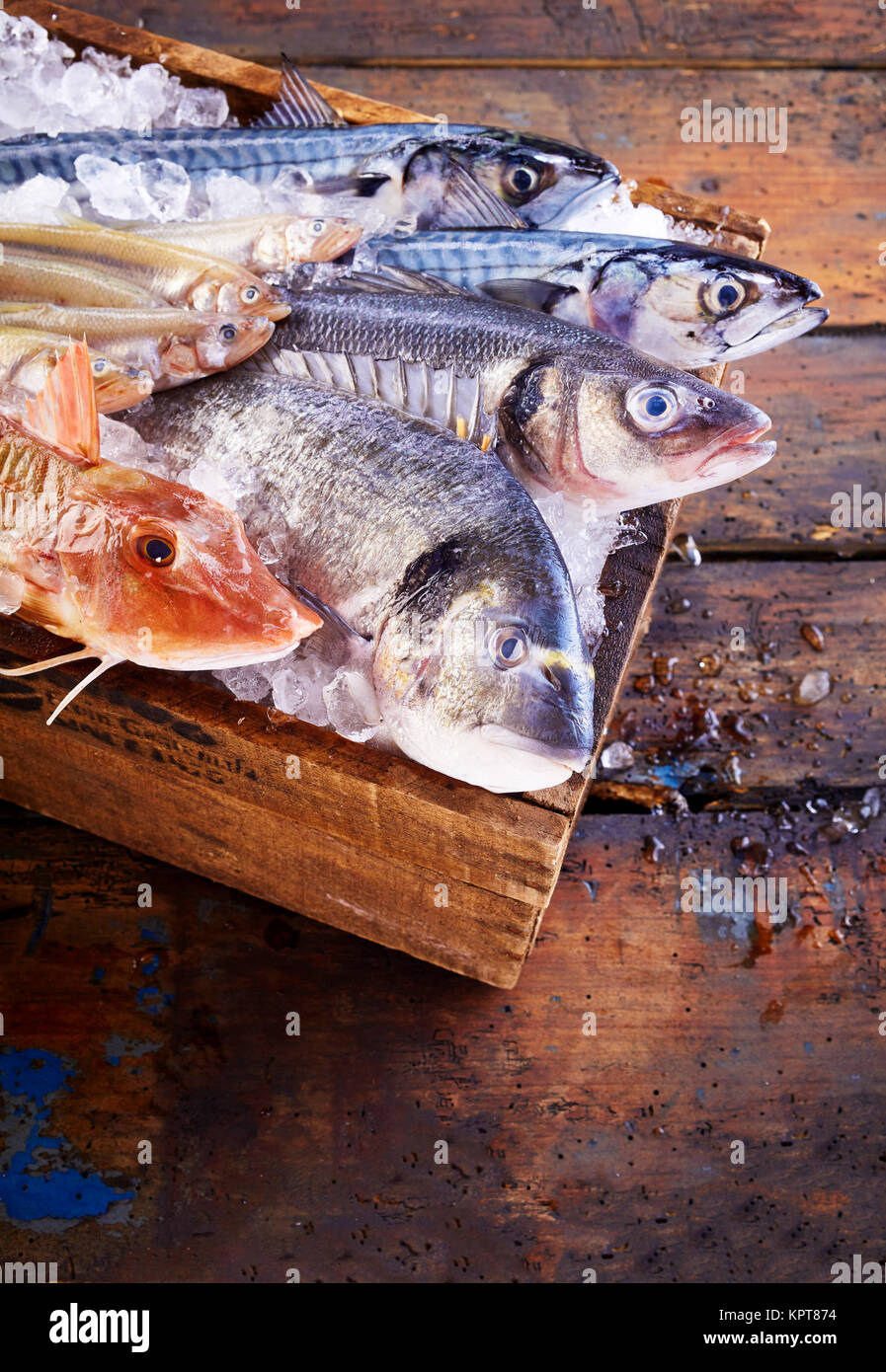 Top down view on multiple fresh raw mackerel and other fish on cutting ...