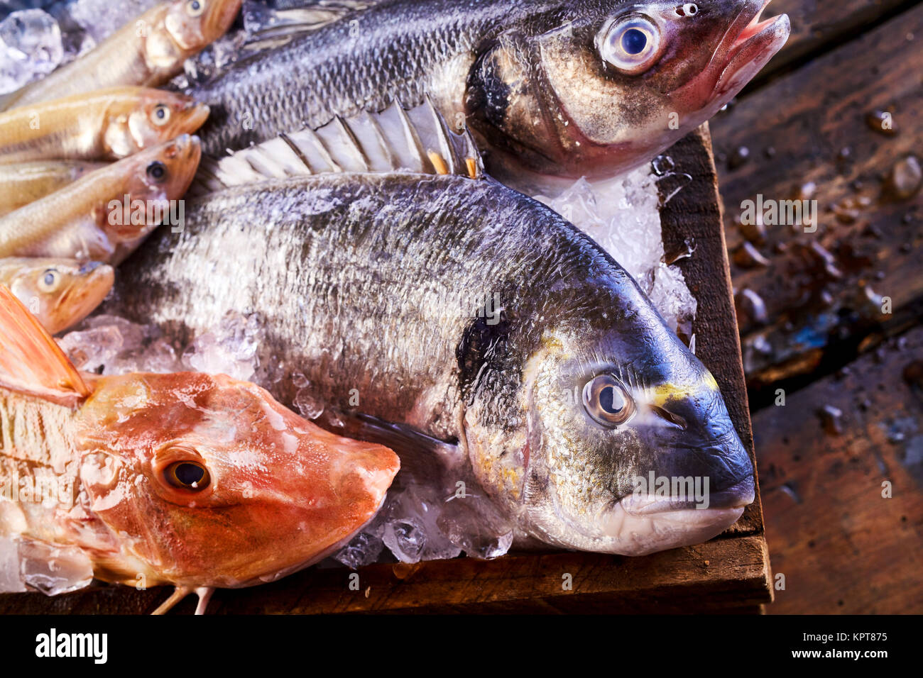 Freshly caught variety of edible saltwater fish on ice in a crate with ...