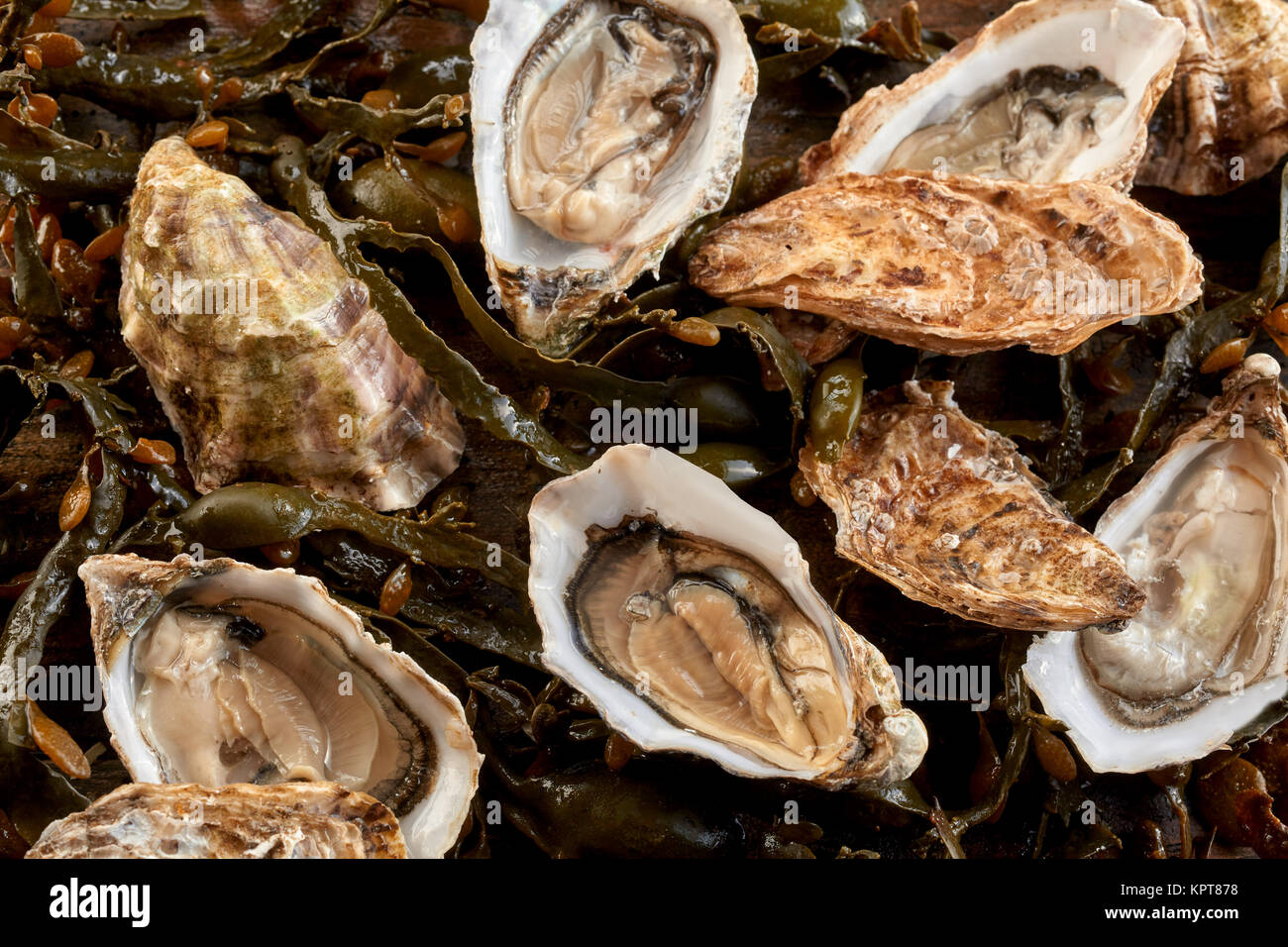 Buffet is opened hi-res stock photography and images - Alamy