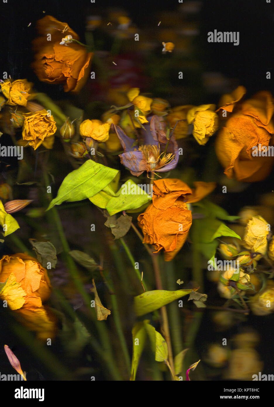grief and old flowers Stock Photo - Alamy