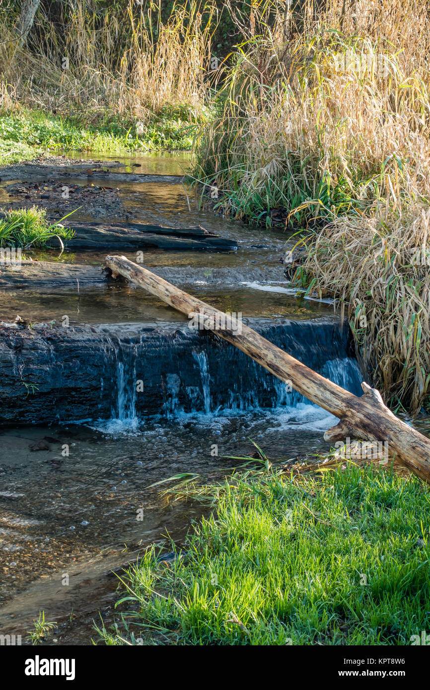Seahurst park hi-res stock photography and images - Alamy