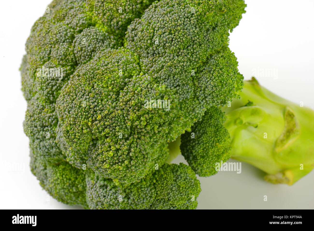 Fresh head of broccoli Stock Photo - Alamy
