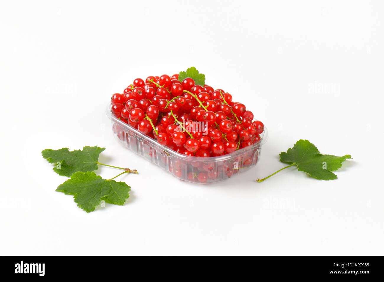 Fresh red currants Stock Photo - Alamy