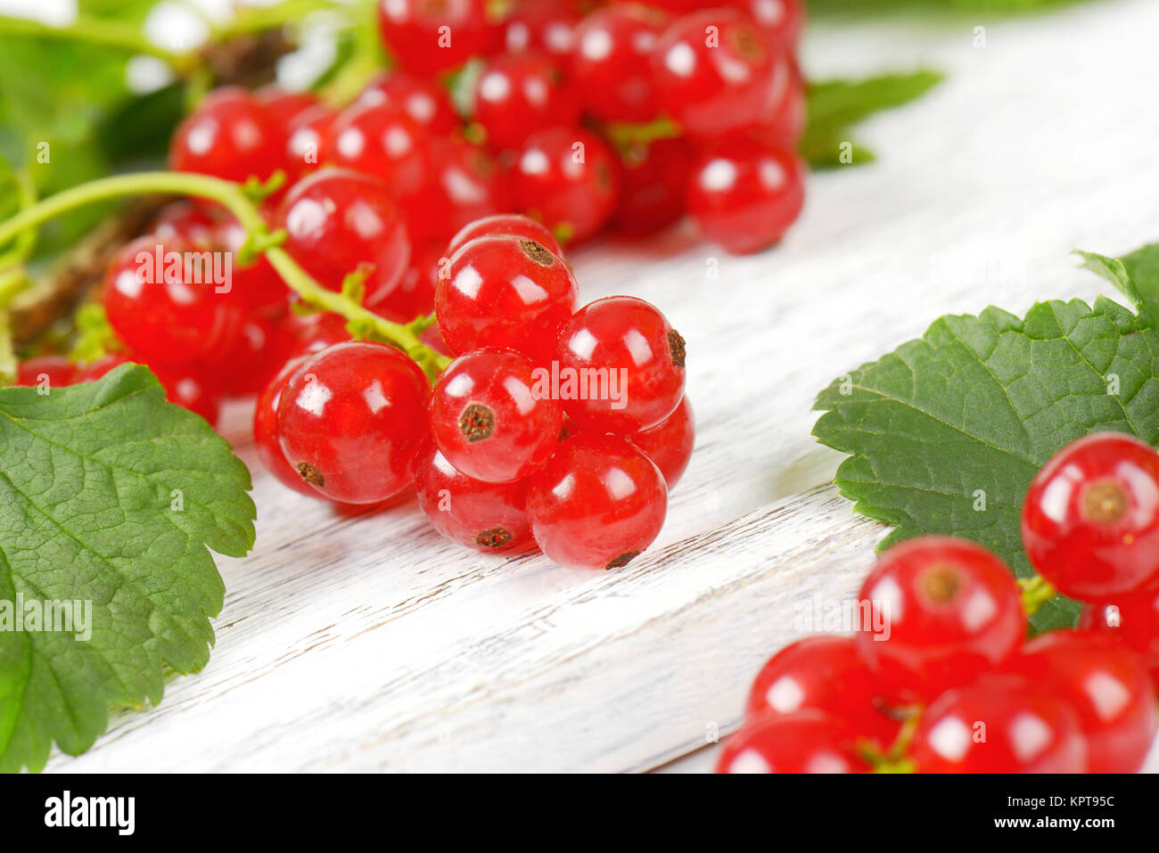 Fresh red currant berries Stock Photo - Alamy