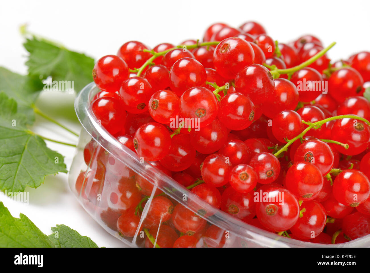 Fresh red currants Stock Photo - Alamy