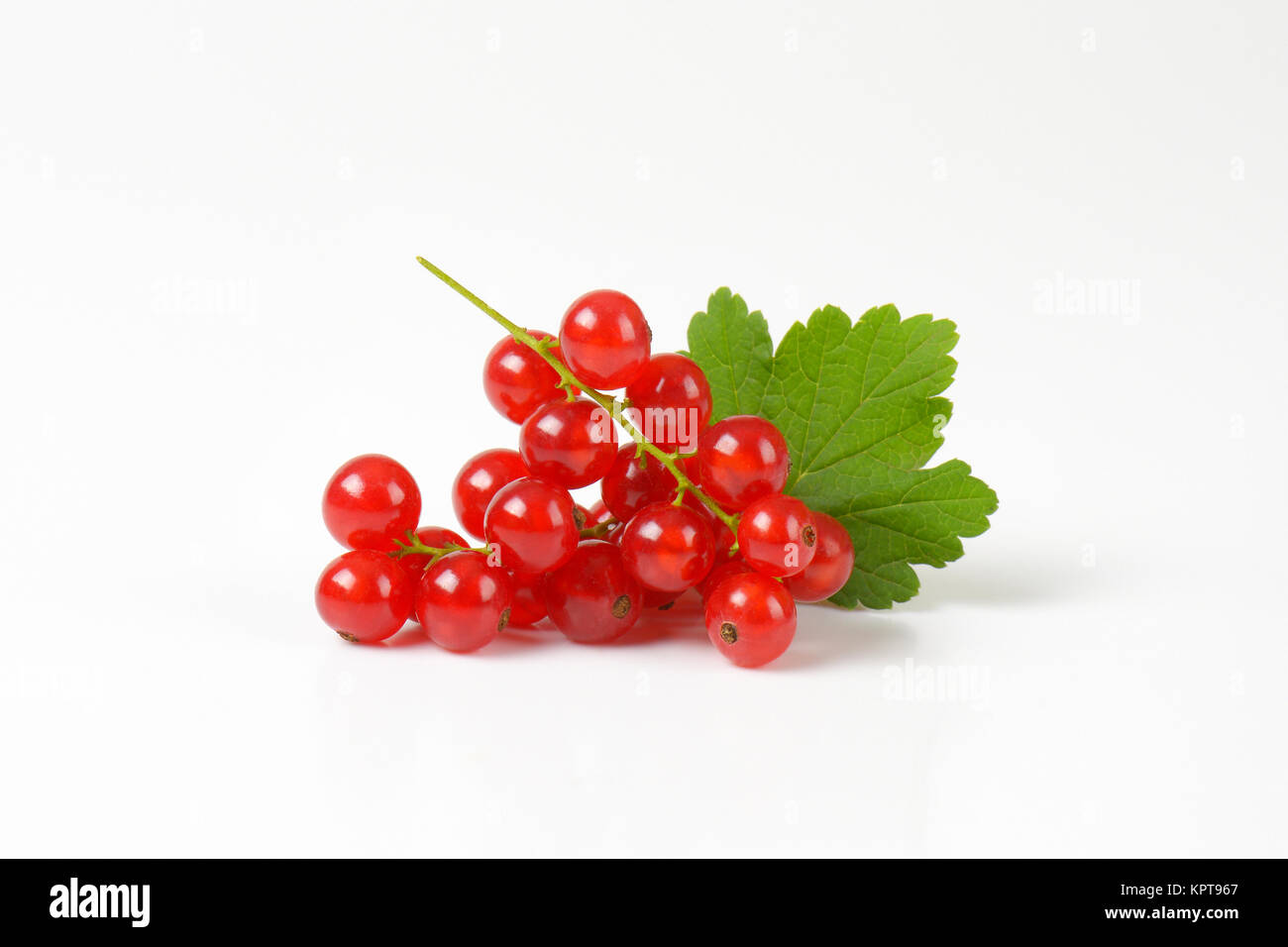 Sprigs of red currant berries Stock Photo - Alamy