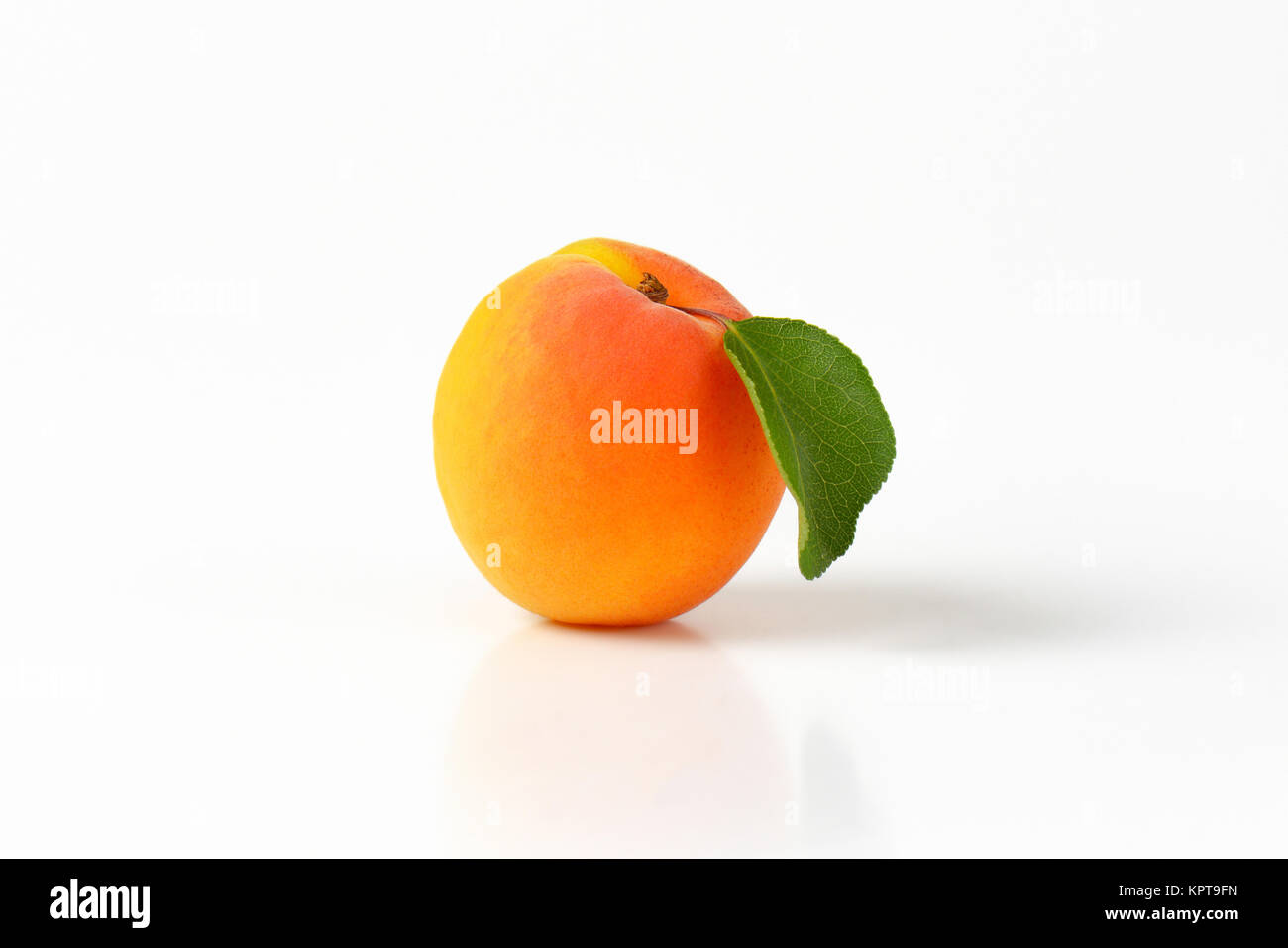 Single fresh apricot Stock Photo - Alamy