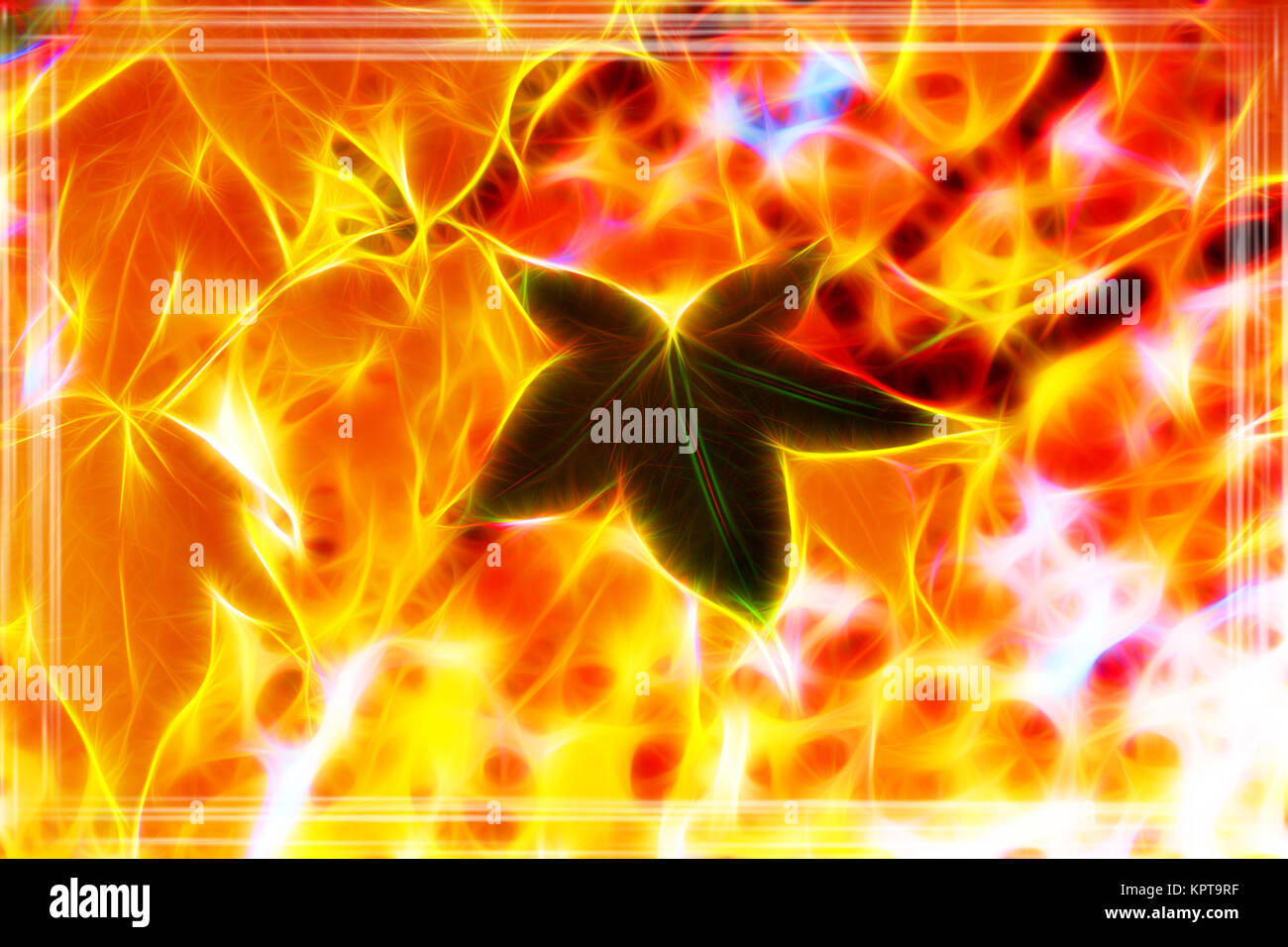 Neon maple leaf hi-res stock photography and images - Alamy
